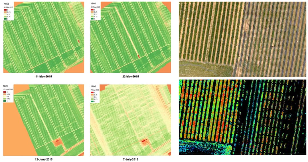 Hyperspectral imaging for agriculture – precision farming | imec